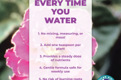 African Violet Plant Food - African Violet Resource Center