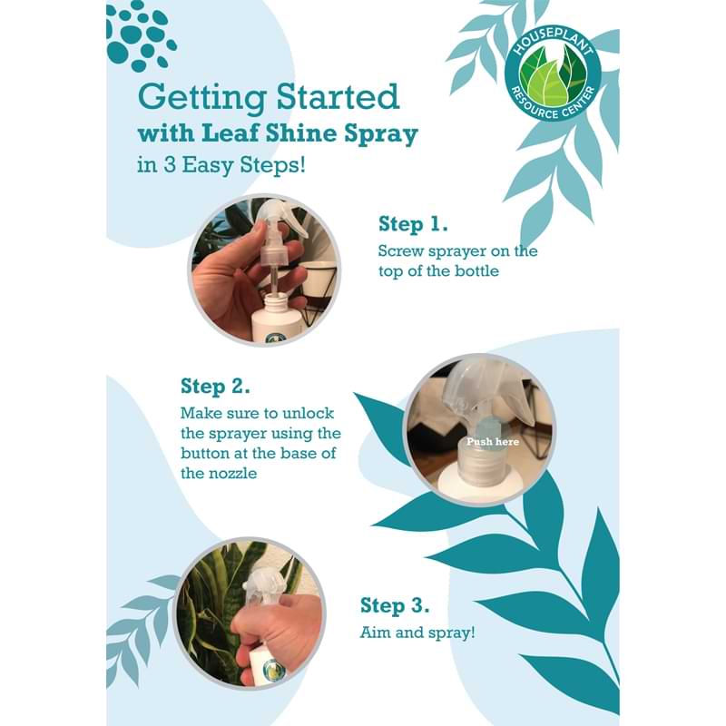 Houseplant Leaf Shine Spray | African Violet Resource Center