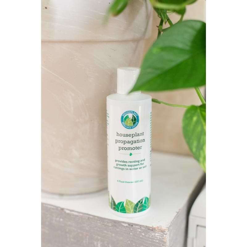 Houseplant Propagation Promoter | African Violet Resource Center