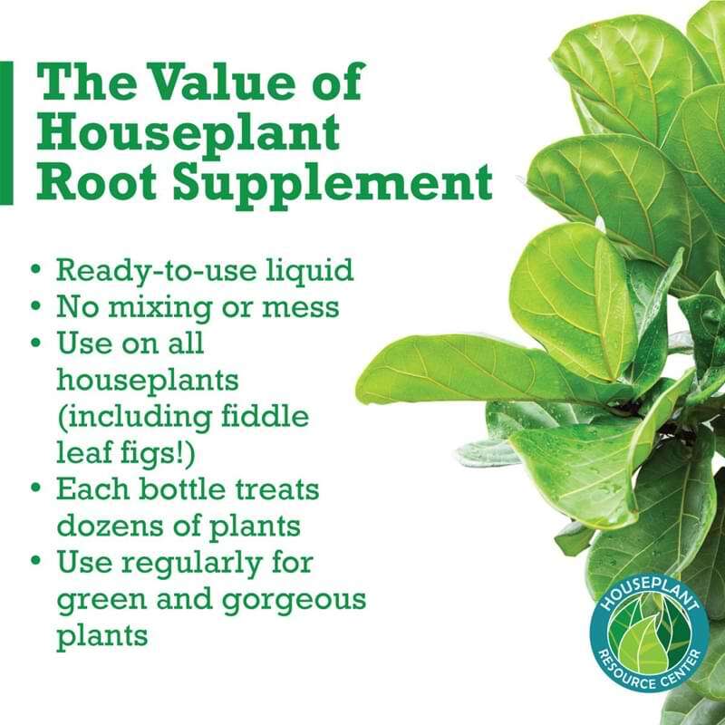 Root Supplement | African Violet Resource Center