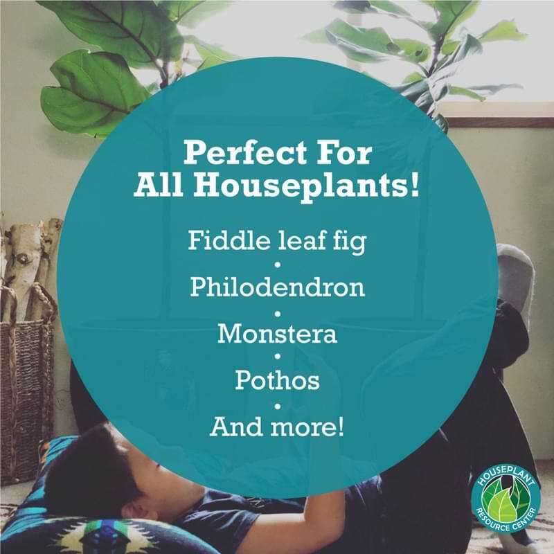 Root Supplement | African Violet Resource Center