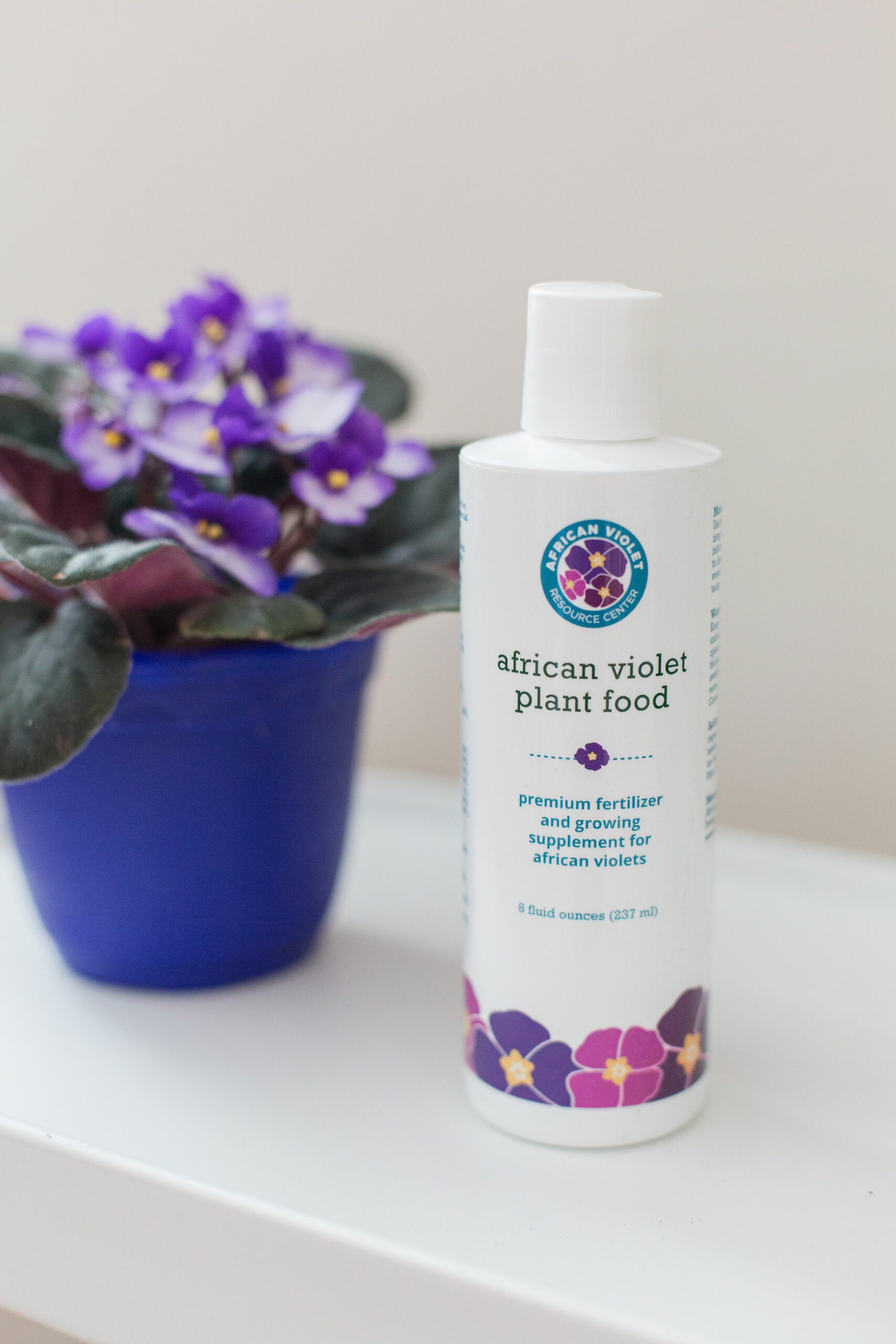 How Big Do African Violets Get? - African Violet Resource Center