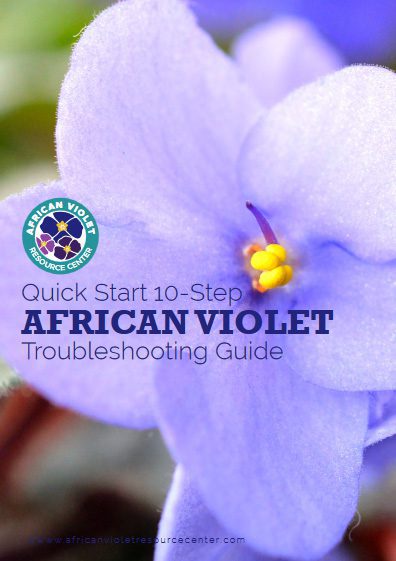 Guide | African Violet Resource Center