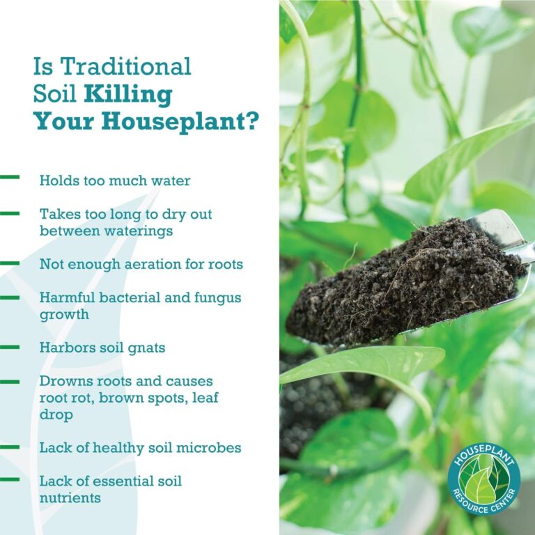 Premium Indoor Plant Soil with Enhanced Drainage and Optimal Nutrient ...