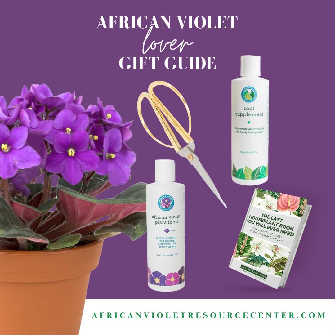 Best African Violet Gifts For Holidays & Special Occasions