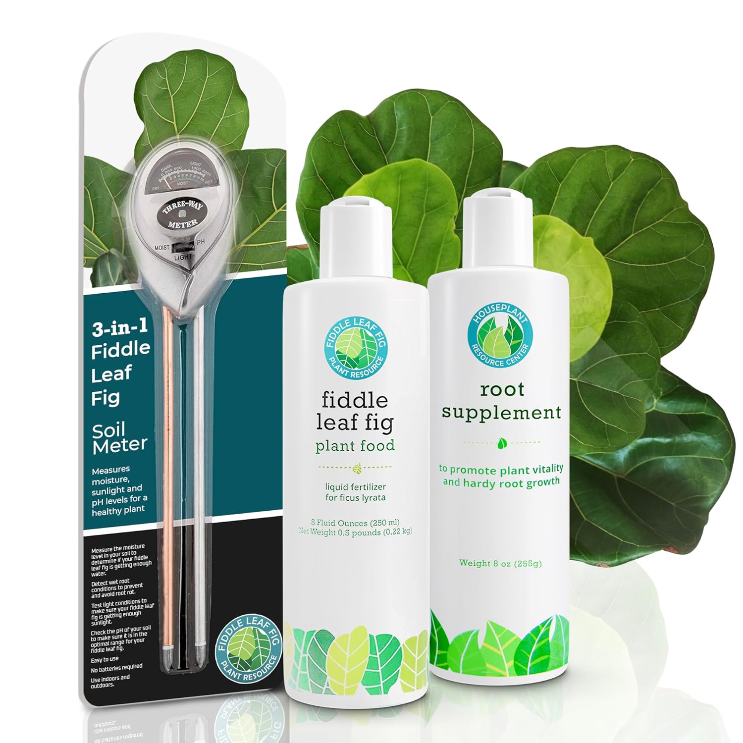 Fiddle Leaf Fig Rescue Bundle | African Violet Resource Center